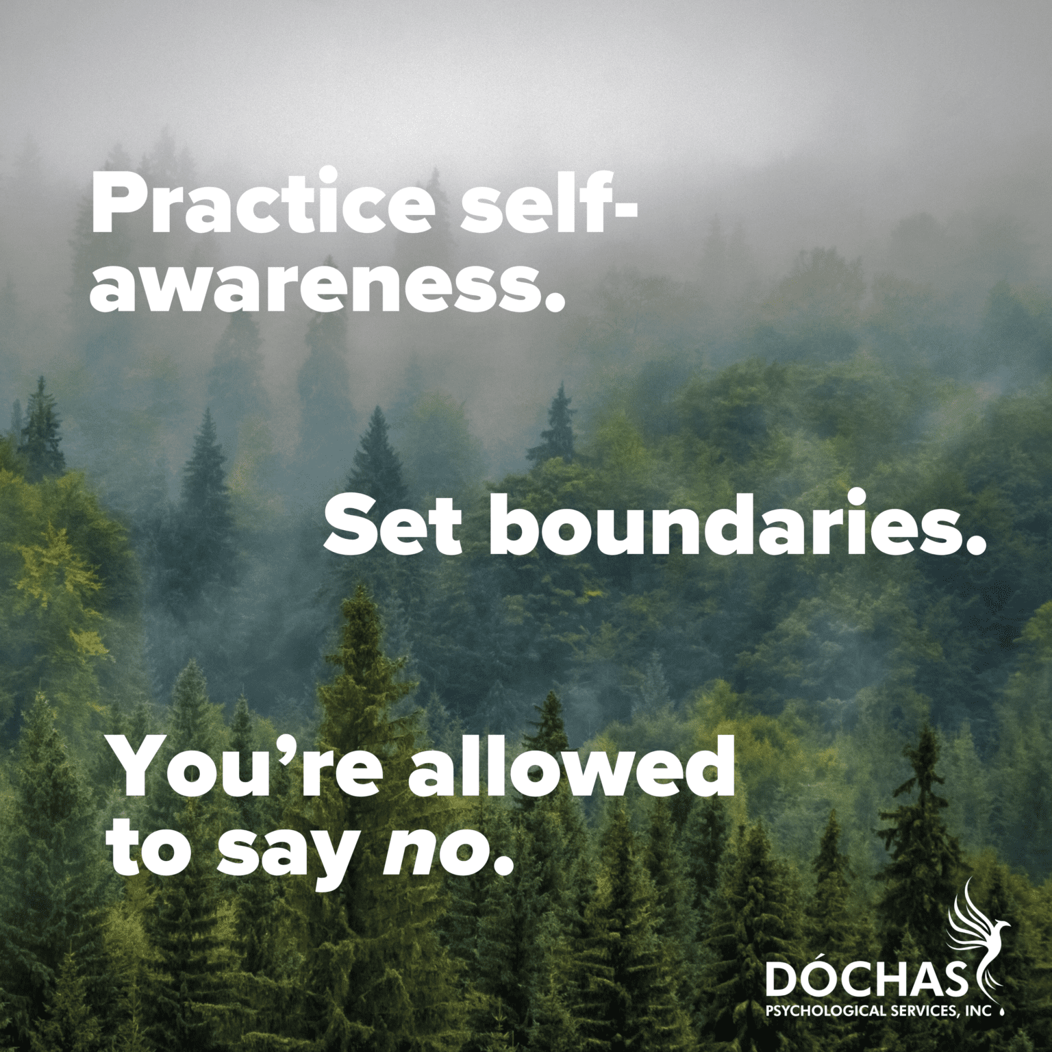 Understanding your Capacity: Balancing the Demands of Life • Dóchas ...